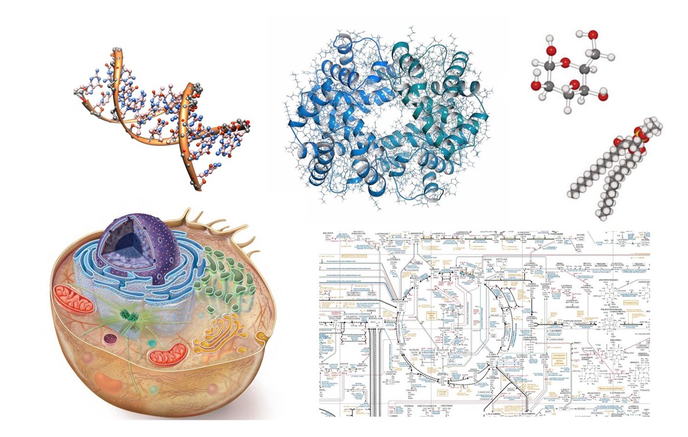 Tecnoeduca-Posgrados CIAD